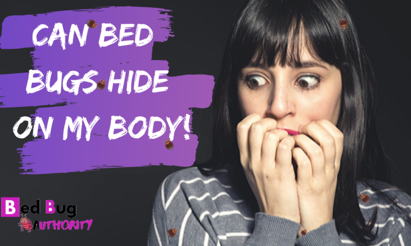 Why Do Bed Bugs Exist Bed Bug Authority