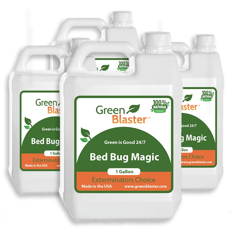 Bed Bug Authority | DIY Bed Bug Solutions